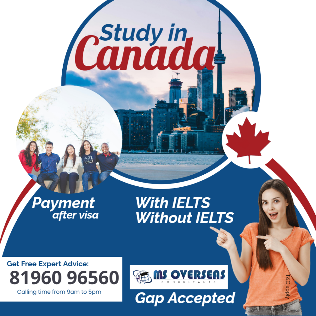 Our Services: Comprehensive Support for Your Study Abroad